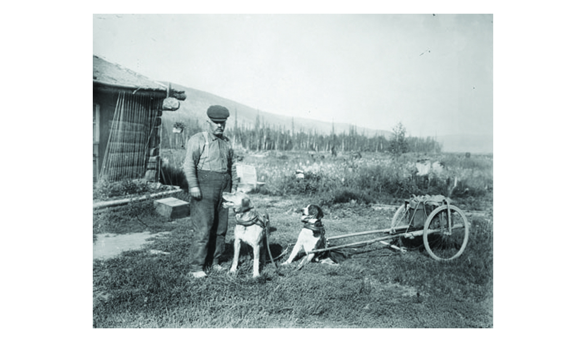 Hard Working Farm Dogs - Gas Engine Magazine